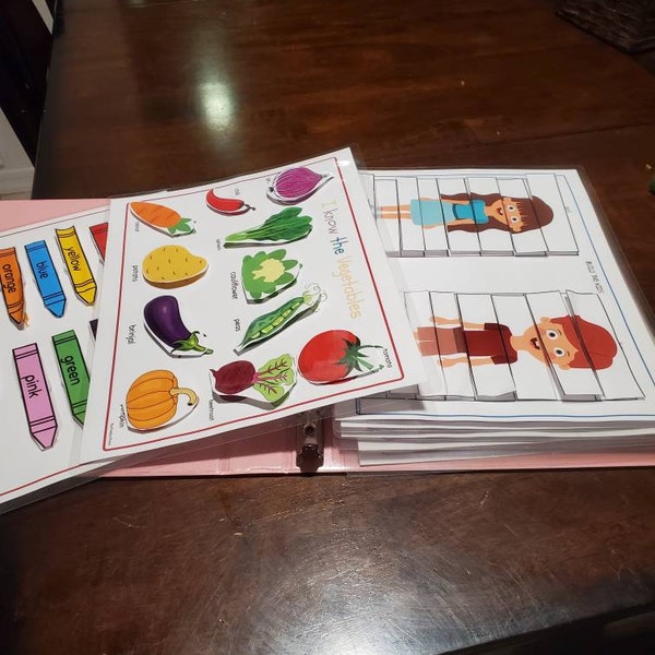 Toddler Busy Book Activity, Preschool Curriculum Homeschool, Toddler ...