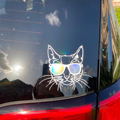 Cat Decal, Vinyl Decal, Car Decal, Bumper Sticker, 5 Decal - Etsy