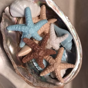 Starfish Soap Set of 5 Seastar Soap Seashell Soap Beach Soap Ocean Soap ...