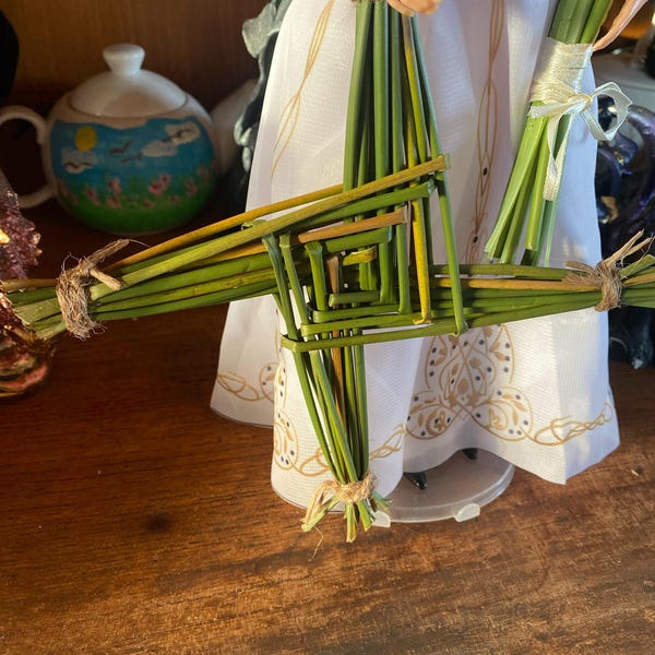 Devil Pod / Bat Nut / Water Caltrop /trapa Bicornis - Protective Amulet ...