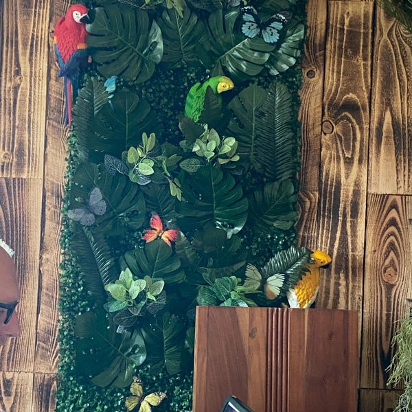 10 X Extra Wide Reclaimed Pallet Boards - Kiln Dried, Ideal for Wall ...