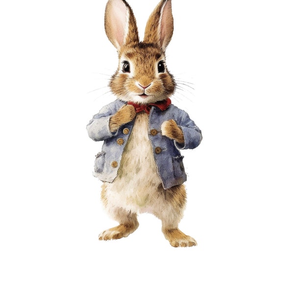Peter Rabbit Birthday Cake PNG, Blue Jacket Peter Rabbit Happy Birthday ...