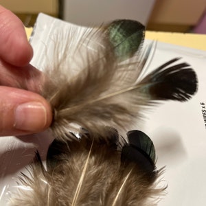 Feather Ear Wrap, Boho Wedding Feather Earrings, Feather Ear Cuff ...