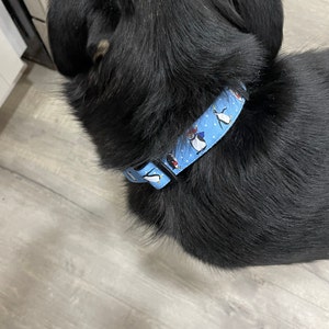1 Autism Awareness Collar - Etsy