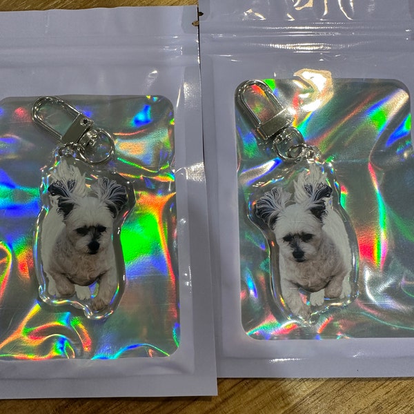 Custom Pet Photo Keychain, Acrylic Keychian, Dog Portrait Keychain ...