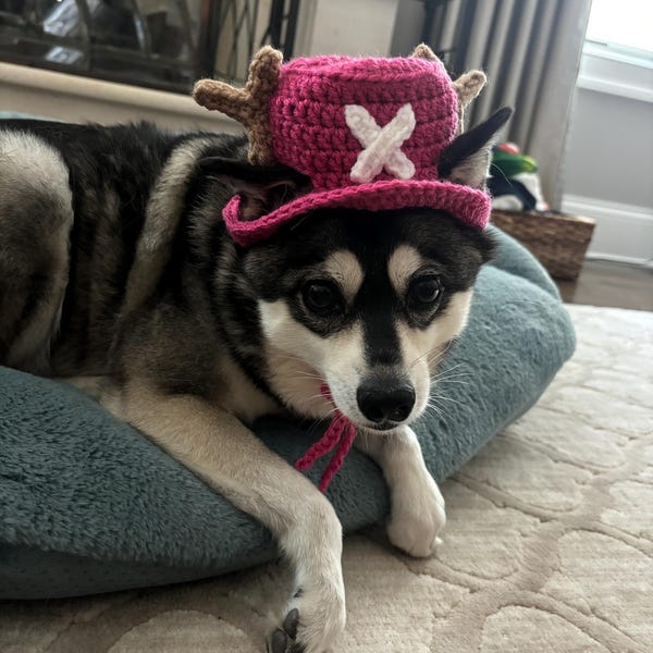 One Piece Anime Handmade Crochet Hat Tony Chopper Blue & Pink Hat ...