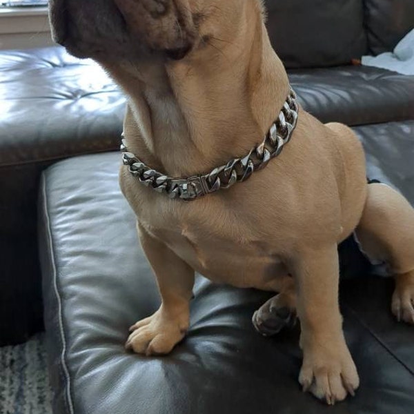 Engraved Name Dog Collar | Cuban Chain Link Collar | 23mm Designer Dog ...