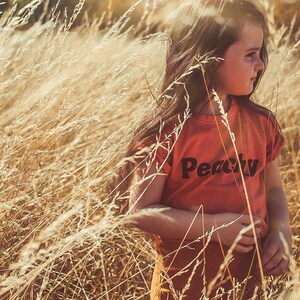 170 Moon Overlays, Moon Phases, Red Moon Overlay, Eclipse Moon Overlay ...