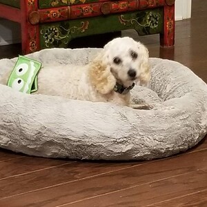 Prince Charming Dog Costume Prince Charming Dog Outfit | Etsy