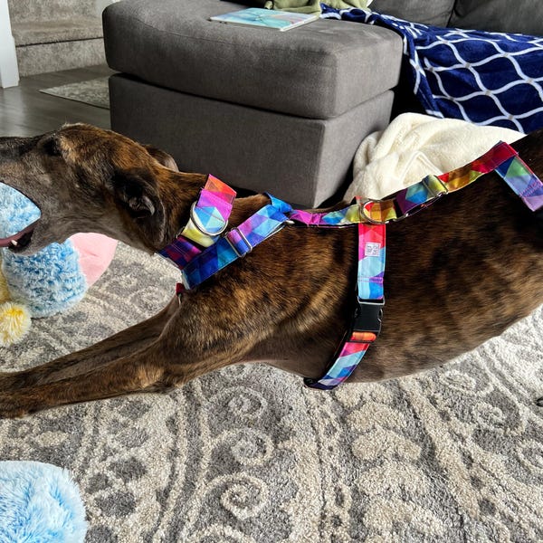 Triple Dog Harness Red Pasley for Greyhound. Handmade With Cotton ...