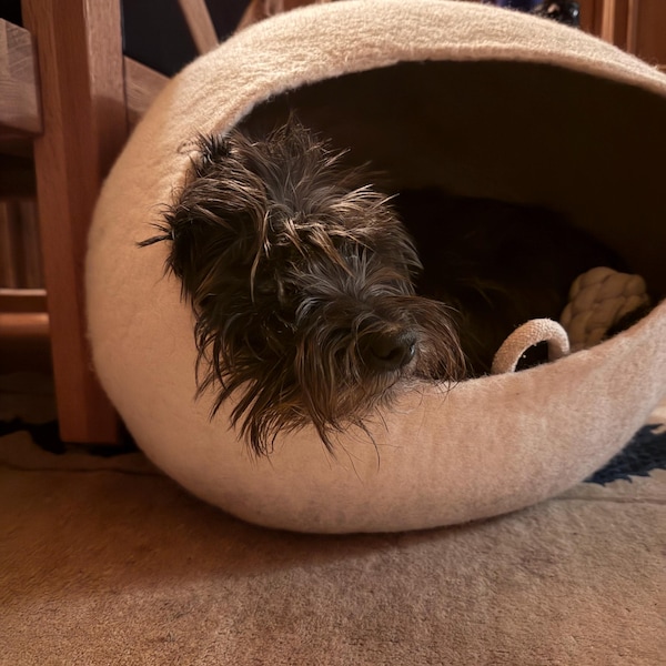 Cat Nap Cocoon / Pet Cave / Kitty Bed /dog House / Felt Vessel - Hand ...