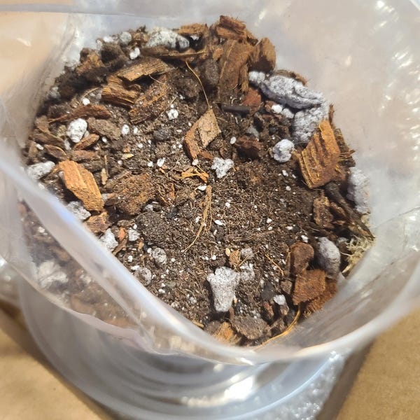 Cymbidium Orchid Potting Mix, Rich Organic Orchid Mix, Soil Based ...