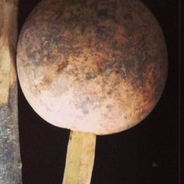 Rattle Ayacaxtli Ayoyotl Native Mexica - Etsy