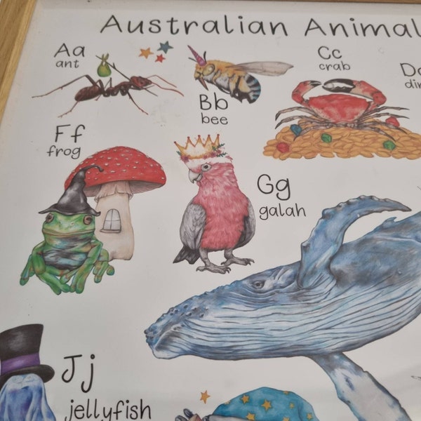 Australian Native Seed Pod Poster DIGITAL DOWNLOAD - Etsy