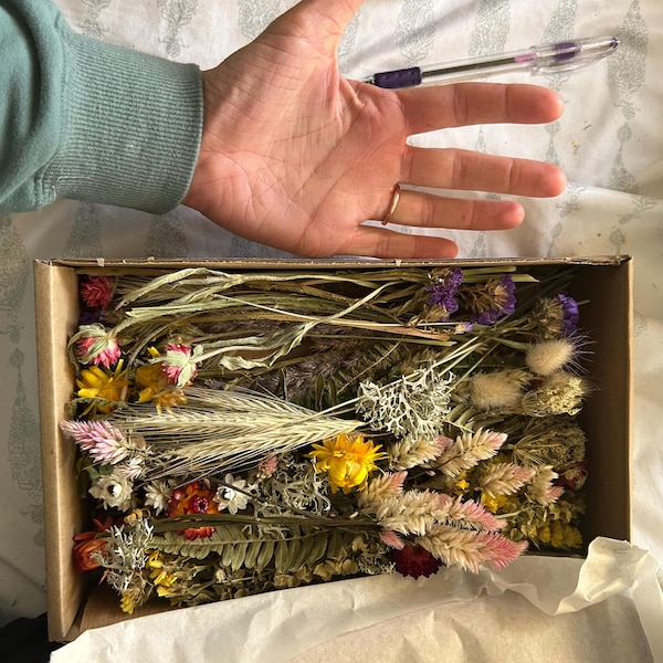 Natural Dried Flowers Mix Craft Boxes, Preserved Dry Botanical Supplies ...