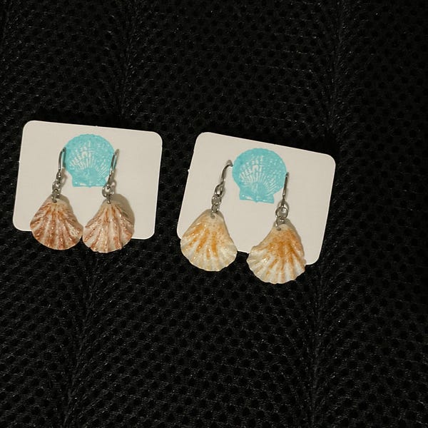 Atlantic Jingle Shell Earrings, Sanibel Island Jewelry, Florida Beach ...