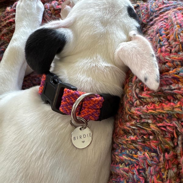 Personalized Dog Tag - Paw Print Dog Tag Design Engraved Tag - Cat ID ...