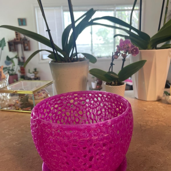 Strawberry Red Hanging Orchid Pot - Etsy
