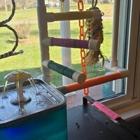 THE MOVER: Portable Parrot Bird Perch W/ Cups for Cockatiels, Conures ...