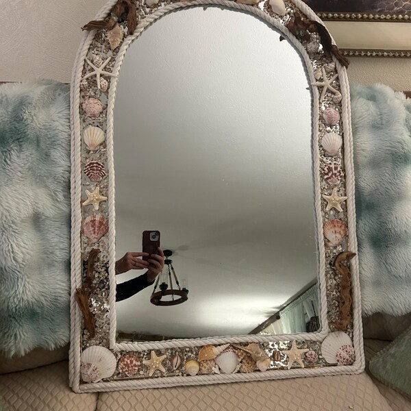 Arrowhead Sand Dollar Shell Extra Large Encope Michelini (1 Shell ...