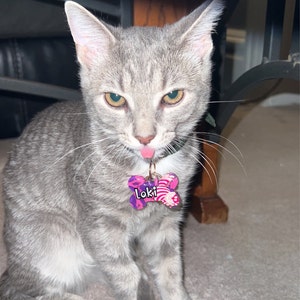 Seashell Dog Tags Custom Pet ID Tags Resin Dog Tags - Etsy