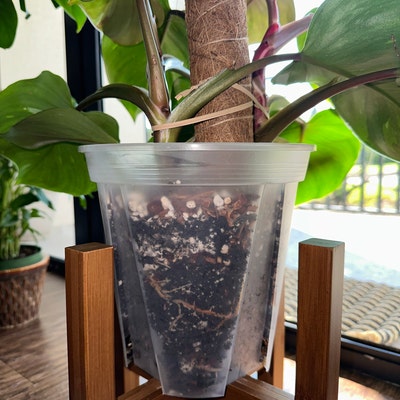 Small Clear Square Nursery and Seedling Pot Container Study Clear ...