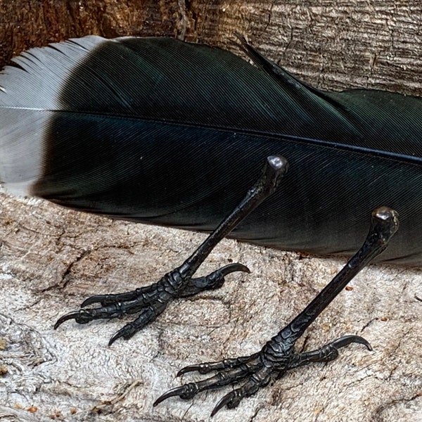 Woodland Crow/blackbird Bronze or Silver Metal Bird Feet Sculptural by ...
