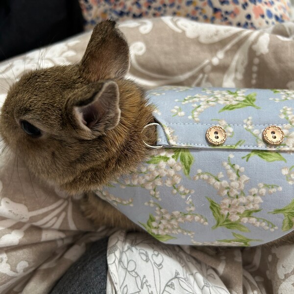 Autumn Ginkgo Wool Short Dress, Pet Bunny Dress/harness, Rabbit ...