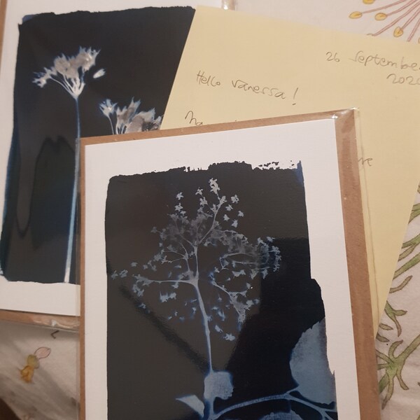 Fragile Wild: Lee Miller & Roland Penrose's Garden - Etsy