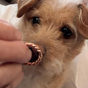 Nugiza Viper Harmoniser, Harmonizer, Tensor Rings, Emf Protection ...