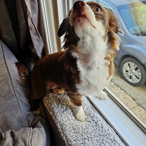 Window Sill Cat Pad/ 8 Sill Pad - Etsy