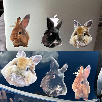 Custom Pet Sticker, Die-cut Dog Decals for Car, Cat Laptop Stickers ...