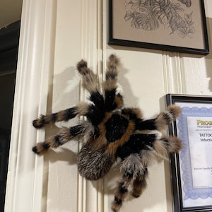 Realistic Tarantula Spider Poseable Shelf Decor Wall Mountable Faux ...