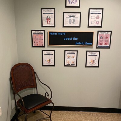 Physical Therapy Pelvic Floor Poster Pelvic Floor Physical Therapy Art ...