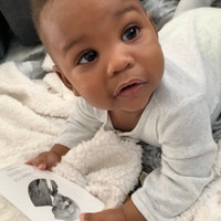 DESERT ANIMALS Flash Cards | Vocabulary Builder | Montessori Inspired ...