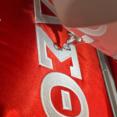 Delta Sigma Theta Embroidery Design File - Etsy