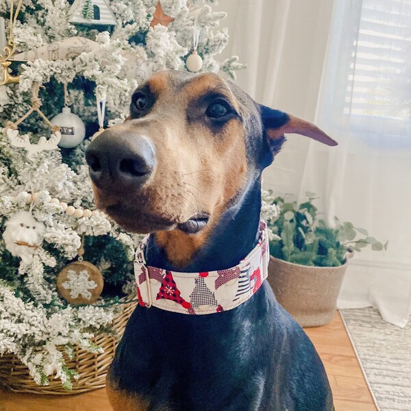 Ready to Ship. Monster Martingale Handmade Dog Collar. 1.5 Wide Adjusts ...