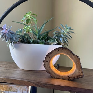 Small LED Log Light Table Lamp Desk Light Real Wooden Log Hollow ...