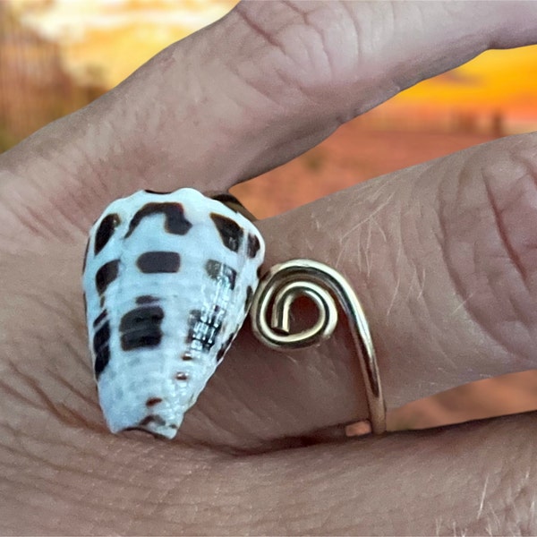 Sunrise Seashell Gold Necklace. Sea Shell Gold Necklace. Sea Shell ...