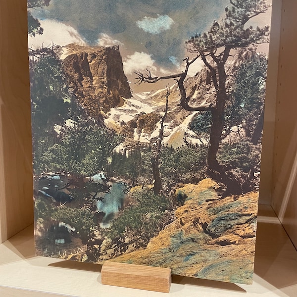 Oak Glass Display Stands | Slender Stands - Available in Multiple ...