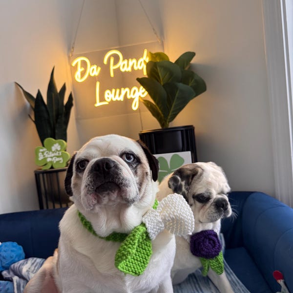 Knit Pug Halloween Costume/ Soft PINK Dinosaur Hat for Dog/ Dino Dog ...