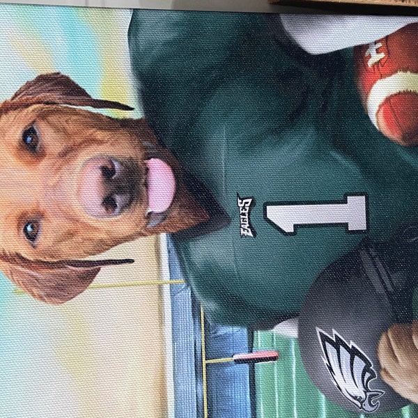 Dallas Football Team Pet Portrait, American Football Fan Gift Art ...