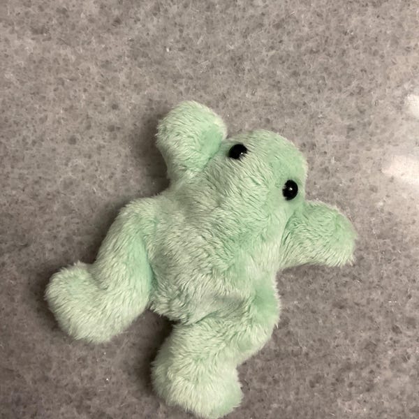 Fidget Frog, Pocket Frog Sensory Comfort Item, Sensory Fidget ...