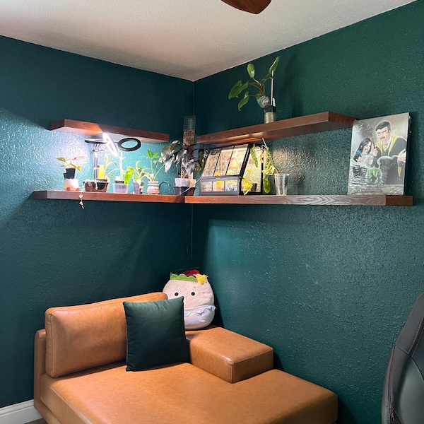 SAMPLES of Paint Colors | Order Paint Samples Here | Free Shipping - Etsy