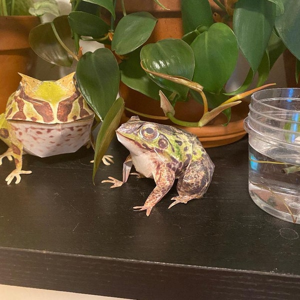 DOMESTIC PIG 3D Papercraft / Animals Papercraft / Printable DIY ...