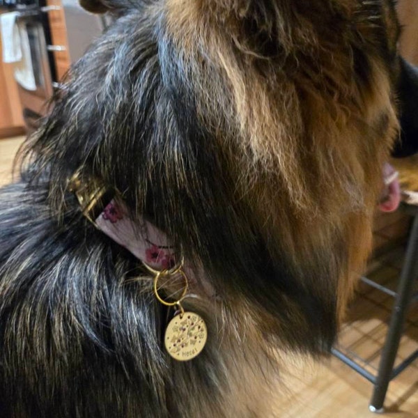 Pet ID Tag, Road Trip Dog Tag, Adventures Dog Tag, Bus, Dog Tag for ...
