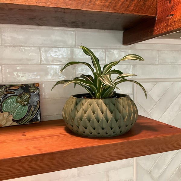 The Neptune Planter Modern and Unique Home Decor for Plants and ...