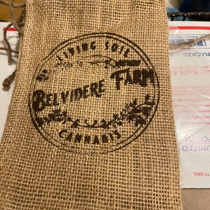 Sashiko Stencil Shippo Tsunagi Pattern Seven Treasures Mylar Plastic ...