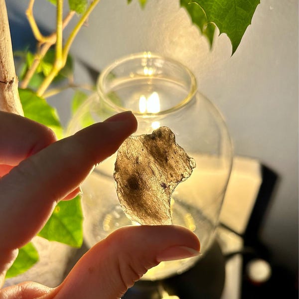 Epidote After Magnetite Pseudomorph W/ Titanite Sphene Crystals ...