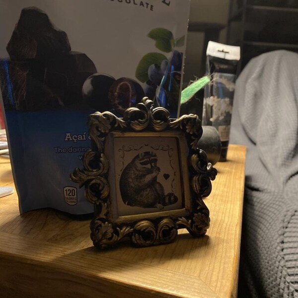 Raccoon Print in Baroque Frame Vintage Style Art in Mini Baroque Frame ...